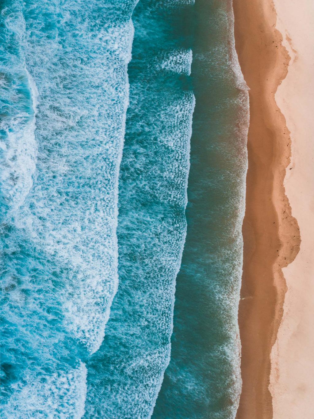 Bentley Environmental Foundation | Projects | Bentley Motors