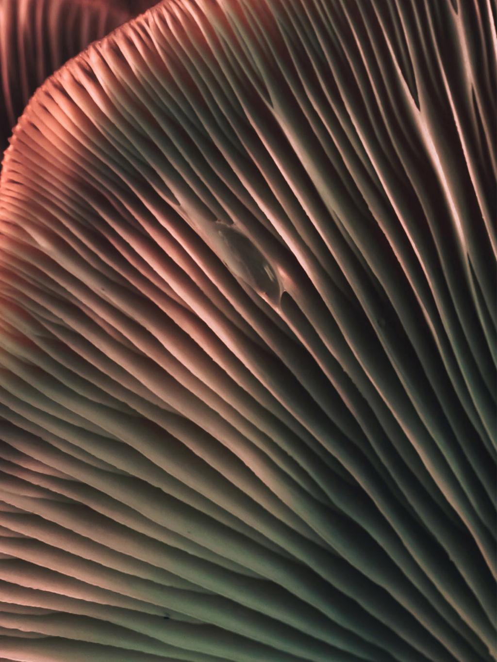 2023 Sustainability Report | Sustainability | Bentley Motors